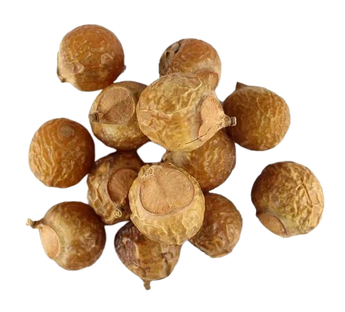 100% Natural & Premium Quality Dried Fruits, Herbs & Spices